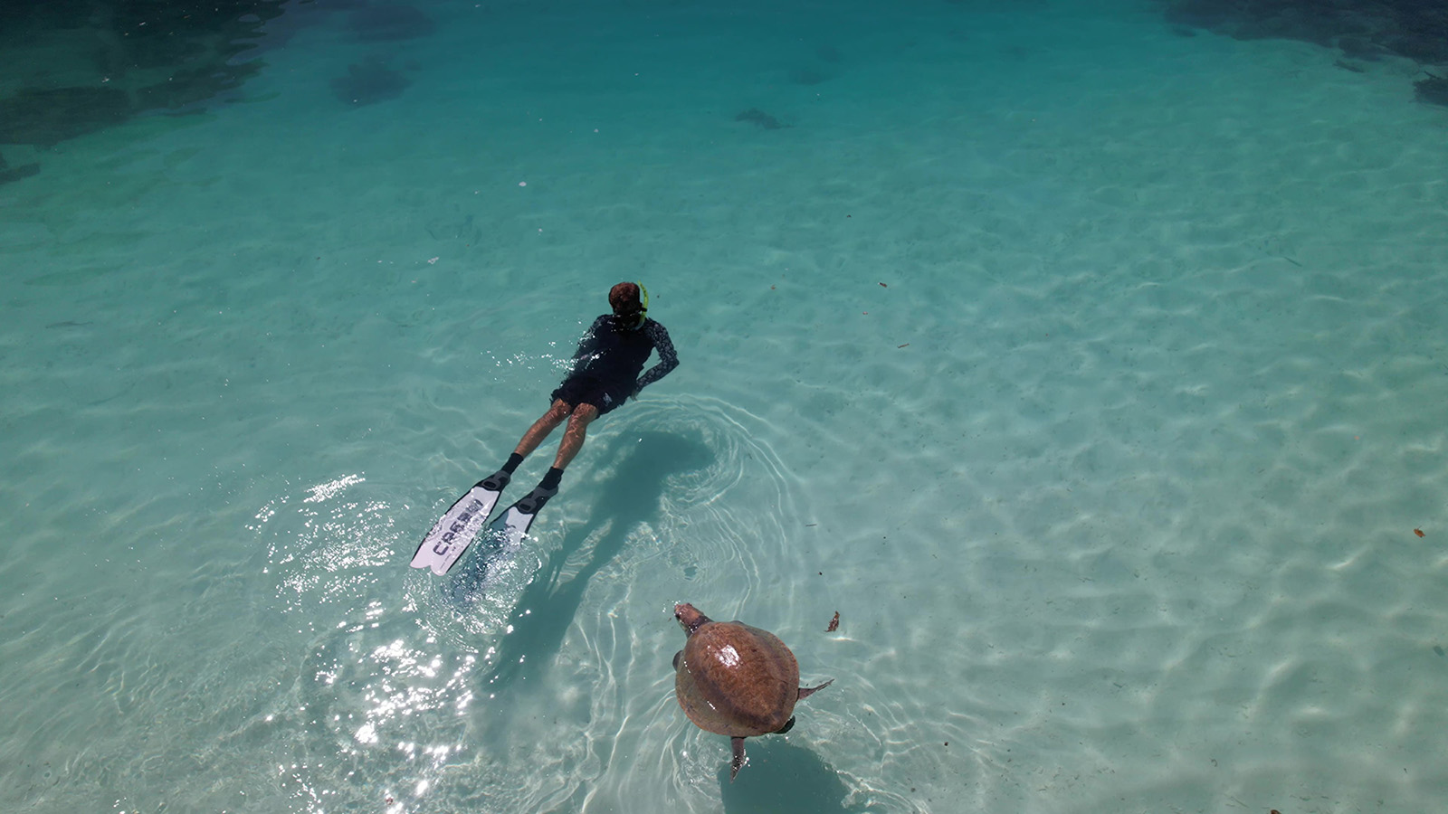 Maldives - Turtle Power: 15 Years of Pioneering Conservation at Four ...